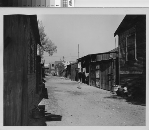 Photograph of young boy on dirt road amid Los Angeles slum houses ...