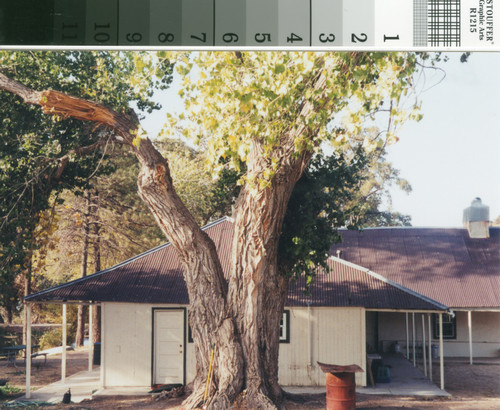 Edward Fitzgerald Beale home, South side — Calisphere