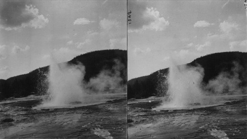Economic Geyser in Eruption. Upper Geyser Basin, Yellowstone National ...