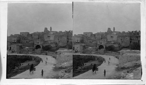 Bethany - a favorite resort of Jesus, Palestine — Calisphere