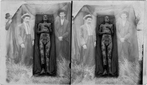 The Petrified Man Unearthed Near Leroy, Ill. June 4th 1904 — Calisphere