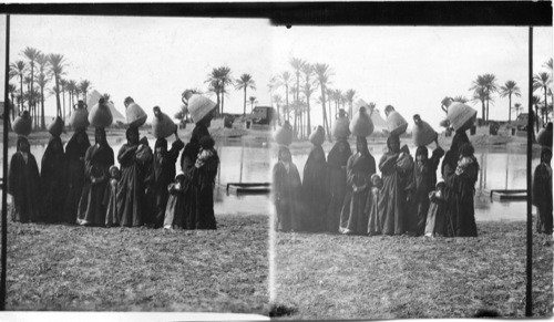 Water Carriers at the Nile, Pyramids in Distance, Gizeh, Egypt — Calisphere