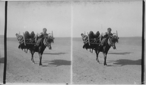 Primitive means of Transportation. Mesopotamia — Calisphere