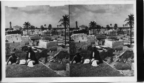 Lydda, the Old Testament “Lod,” Judea — Calisphere