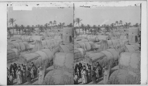 Arab village of reed mats and round fort on lower Euphrates ...