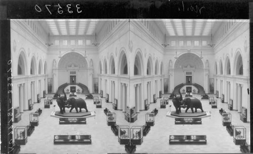 Stanley Field Hall, Field Museum of Natural History, Chicago — Calisphere