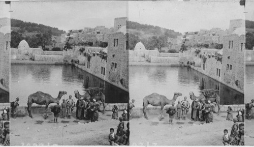 The Kings Pool. Hebron - where David hanged the murders of Saul’s Sons ...