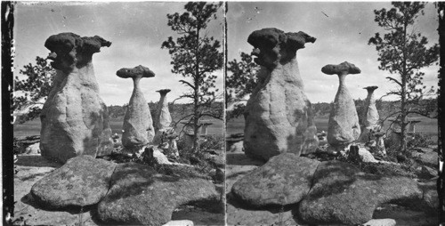 The Quakers Monument Park, Colorado. (near Colorado Springs) — Calisphere