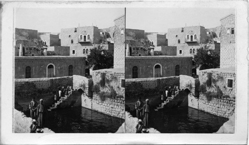 The Ancient Pool at Hebron. Palestine — Calisphere