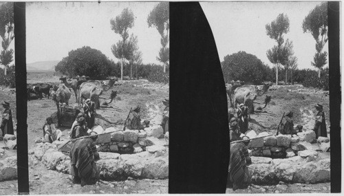 Joseph’s Well. Dothan, Palestine — Calisphere