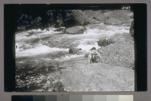 Ishi emerging from river with harpoon — Calisphere