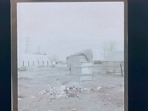 Louis' Camp — Calisphere