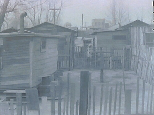 Louis' Camp, outskirts of Sacramento; winter quarters for fruit tramps ...