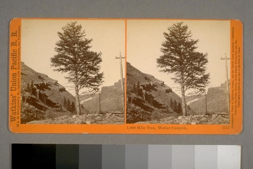 1,000 Mile Tree, Weber Canyon [Utah]. Watkins' Union Pacific Railroad ...