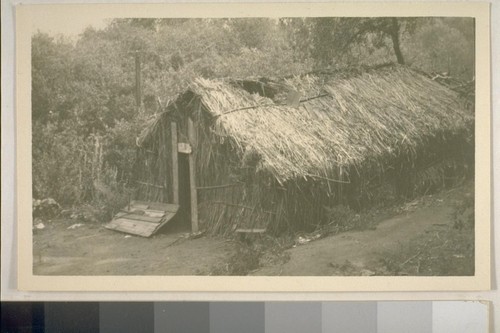 Tule houses at Clear Lake; July 1917, 1927; 4 prints, 2 negatives ...