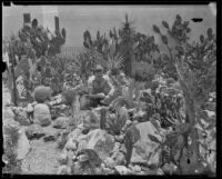 Neville Phillips tends to his cactus and rock garden, Glendale, 1935 ...