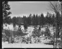 Snow an Lake Arrowhead, 1920-1939 — Calisphere