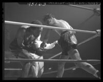 Boxer Manuel Ortiz throwing a right hand blow to Harold Dade in 1947 match, Los Angeles, Calif ...
