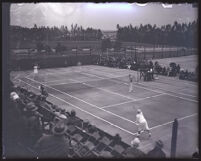 Doubles match between May Sutton Bundy, Mary K. Browne, William T ...