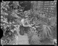 Neville Phillips tends to his garden, Glendale, 1935 — Calisphere