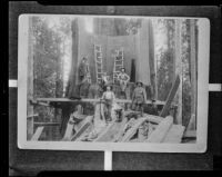 General Noble, a giant sequoia tree in Converse Basin Grove, 1892 (copy ...
