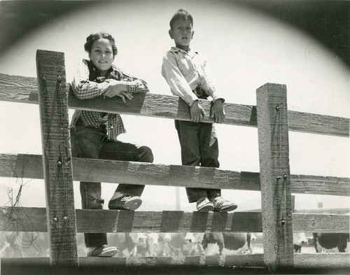 Marigold Linton and Roderick Tyron Linton posing on fence on the ...