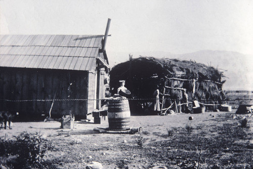 Traditional house and wood frame house on the Morongo Indian ...