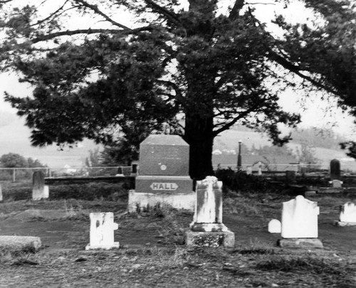 Cemetery, Sebastopol, California — Calisphere