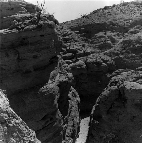 Calcite Mine area canyon in Anza Borrego Desert State Park, San Diego ...