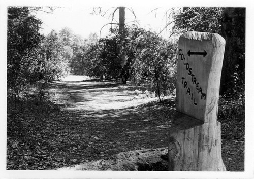 Coldstream Trail sign at Cuyamaca Rancho State Park — Calisphere