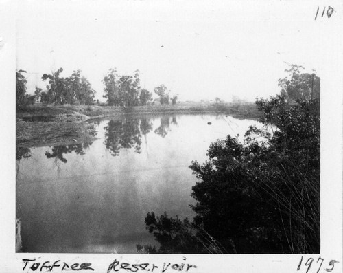 Photograph of Tuffree Reservoir and Tri City Park — Calisphere