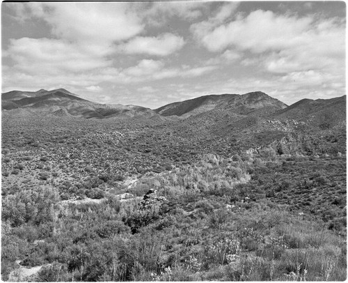 Entrance to Arroyo of La Rinconada just north of Brecha El Salto / El ...