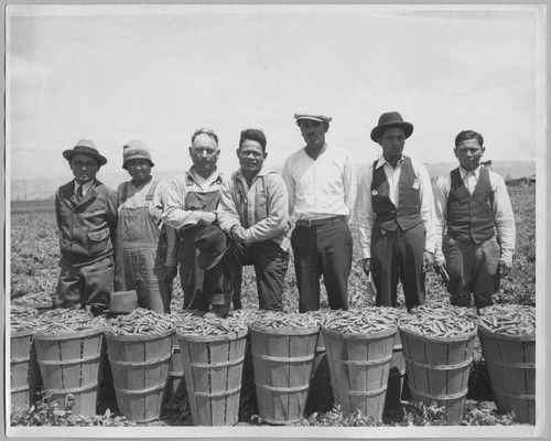 Proud Pea Pickers, ca. 1930 — Calisphere
