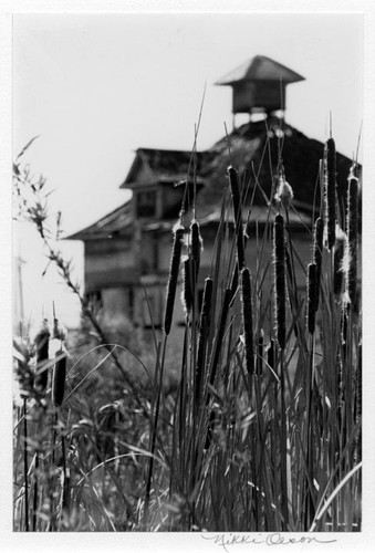 Maag House at Discovery Museum of Orange County in 1985 — Calisphere