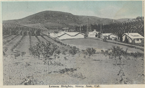 Lemon Heights — Calisphere