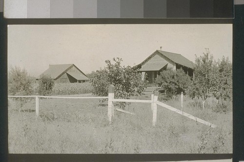 #171, Prune trees on free hold land on the Durham State Land Settlement ...