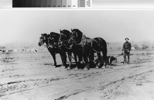 Photograph of Fresno Scraper use on the Sunny Bank Farm in Nicolaus ...