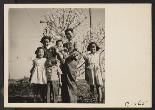 Members of the Mitarai family on their ranch, six weeks prior to ...