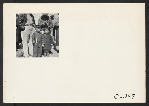 Turlock, Calif.--These children have just arrived at Turlock assembly ...