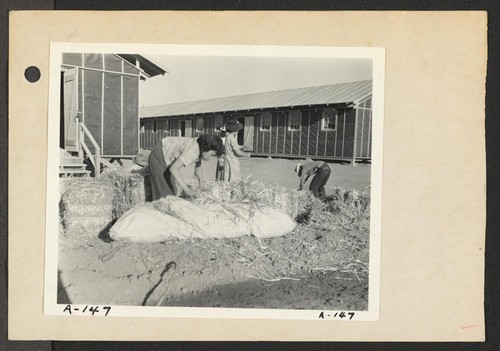 Poston, Ariz.--Evacuees of Japanese ancestry are filling straw ticks ...