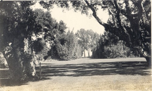 Mall on Francis T. Underhill Estate, Santa Barbara — Calisphere