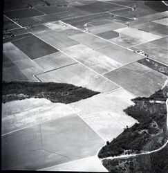 Aerial view of farmland near Fort Ord — Calisphere