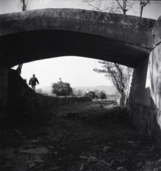 Carts loaded with harvest viewed from under a bridge — Calisphere