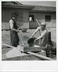Construction laborers at work — Calisphere