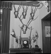 Marshal Mannerheim [Hunting trophies] — Calisphere