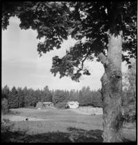 On road to Kotka. Farmhouses and forest — Calisphere