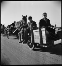 Soldiers: Road to Heinola. Cart [Soldiers with carts and horses ...