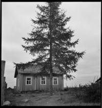 Kalevala. Road Suistamo. Old lady return America [Small house next to a ...