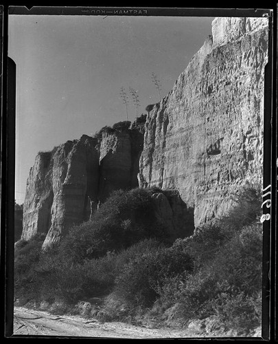 Palisades Park cliff and agaves, Santa Monica, 1929 — Calisphere