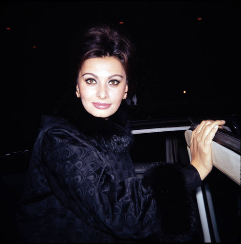 Sophia Loren at the Beverly Hills Hotel — Calisphere